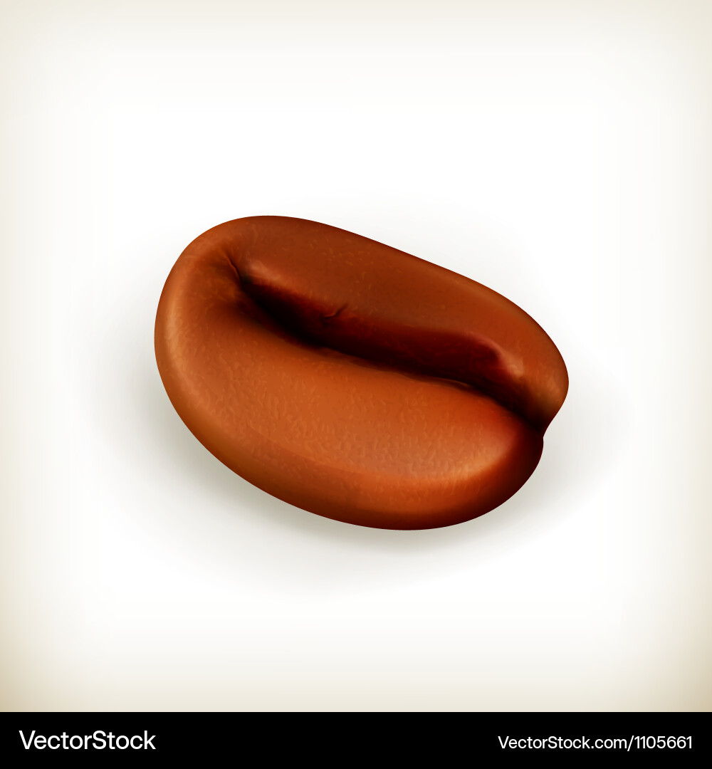 Roasted coffee bean Royalty Free Vector Image - VectorStock