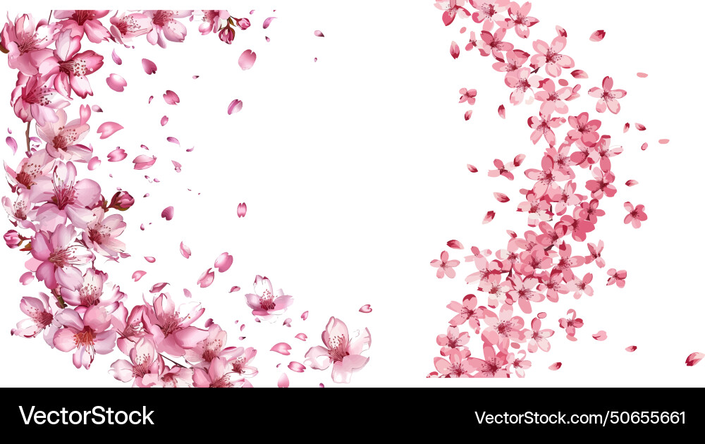 Sakura Blossom Floral Border Royalty Free Vector Image
