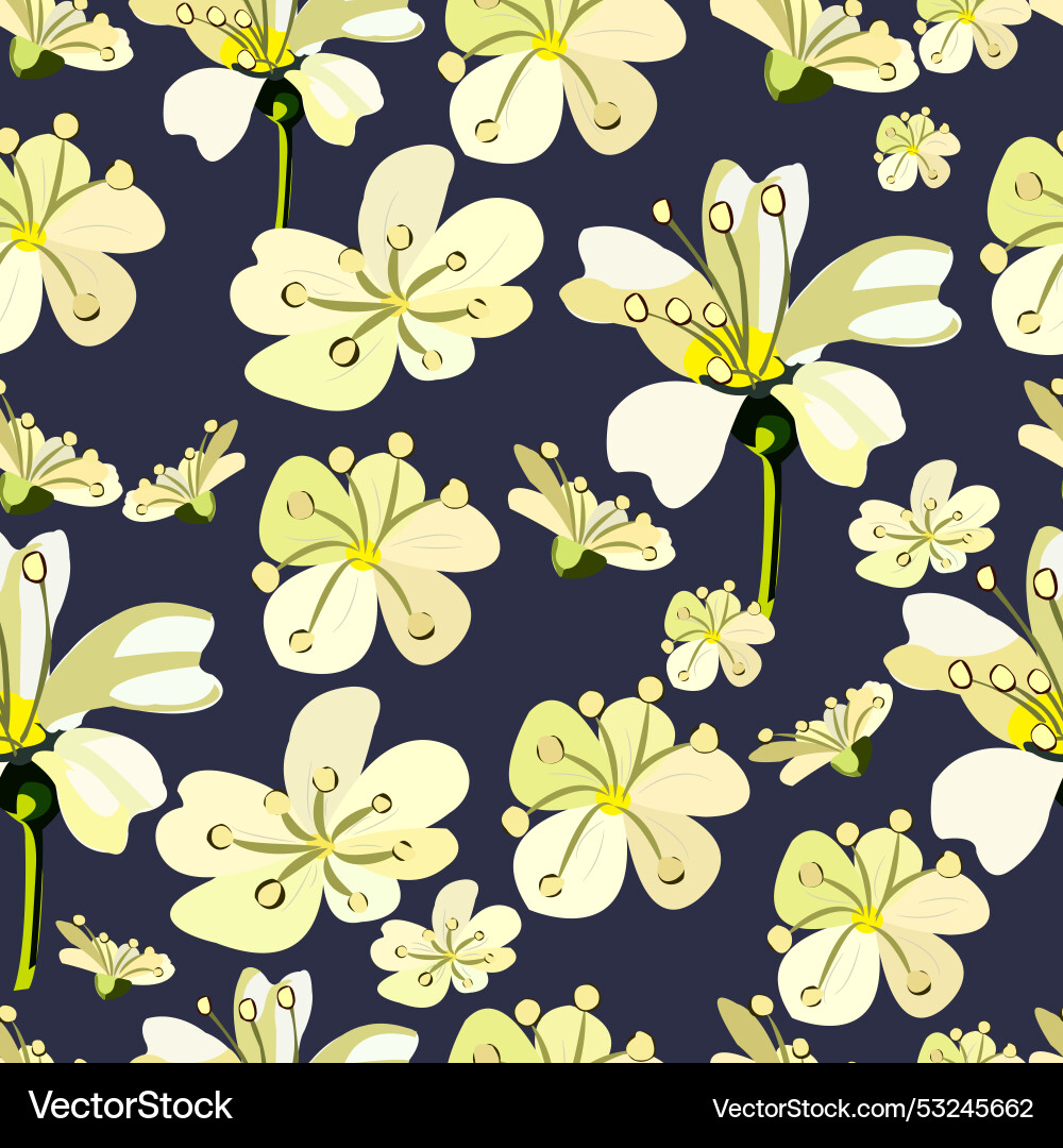 Meadow pattern flowers gypsophila graphic Vector Image
