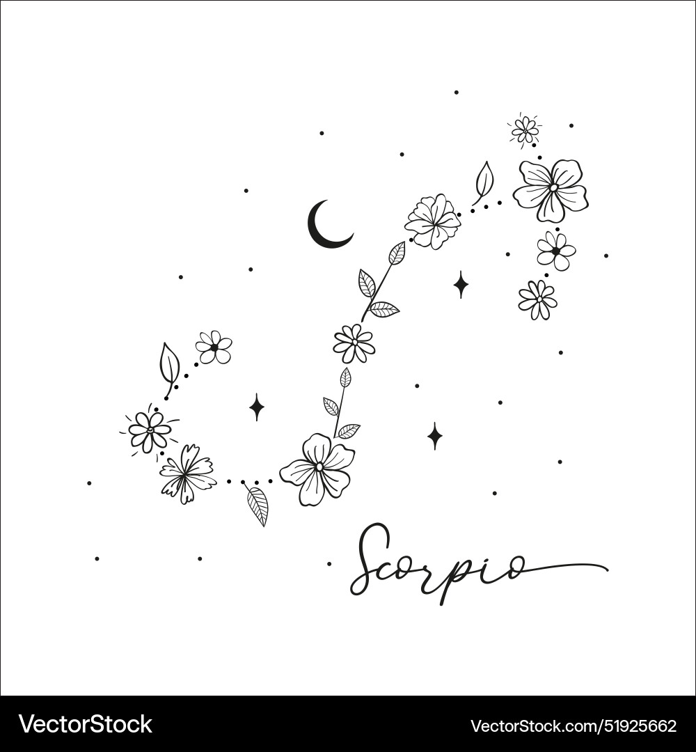 Scorpio constellation with hand drawn doodle Vector Image