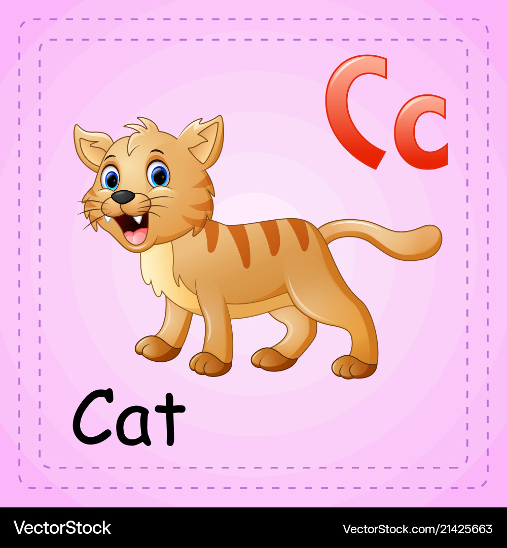 Animals alphabet c is for cat Royalty Free Vector Image