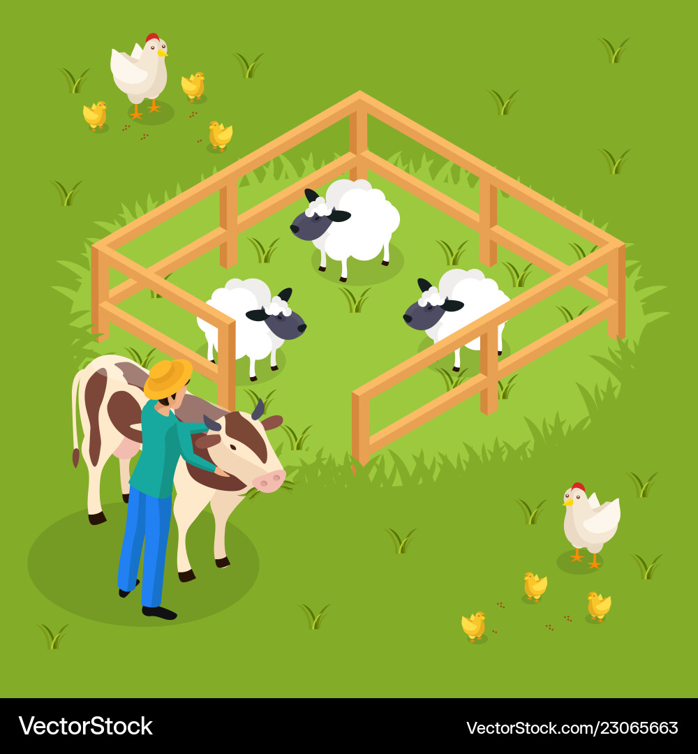 Cattle Farming Isometric Scene Royalty Free Vector Image