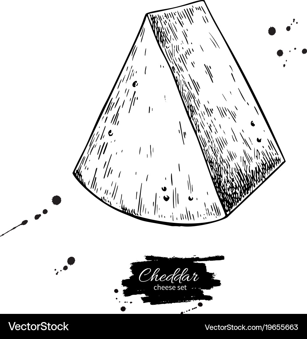 Cheddar cheese drawing hand drawn food sketch Vector Image