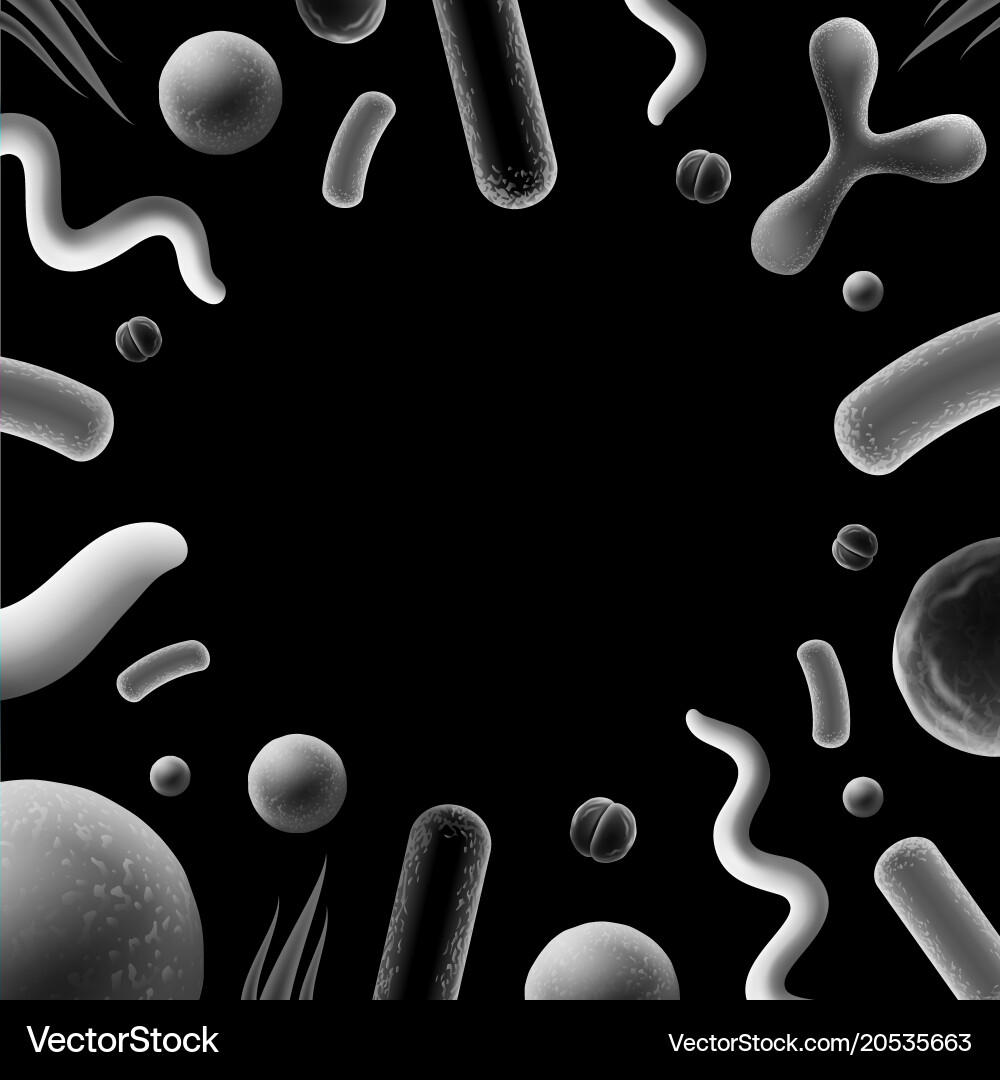 Different bacteria cells Royalty Free Vector Image