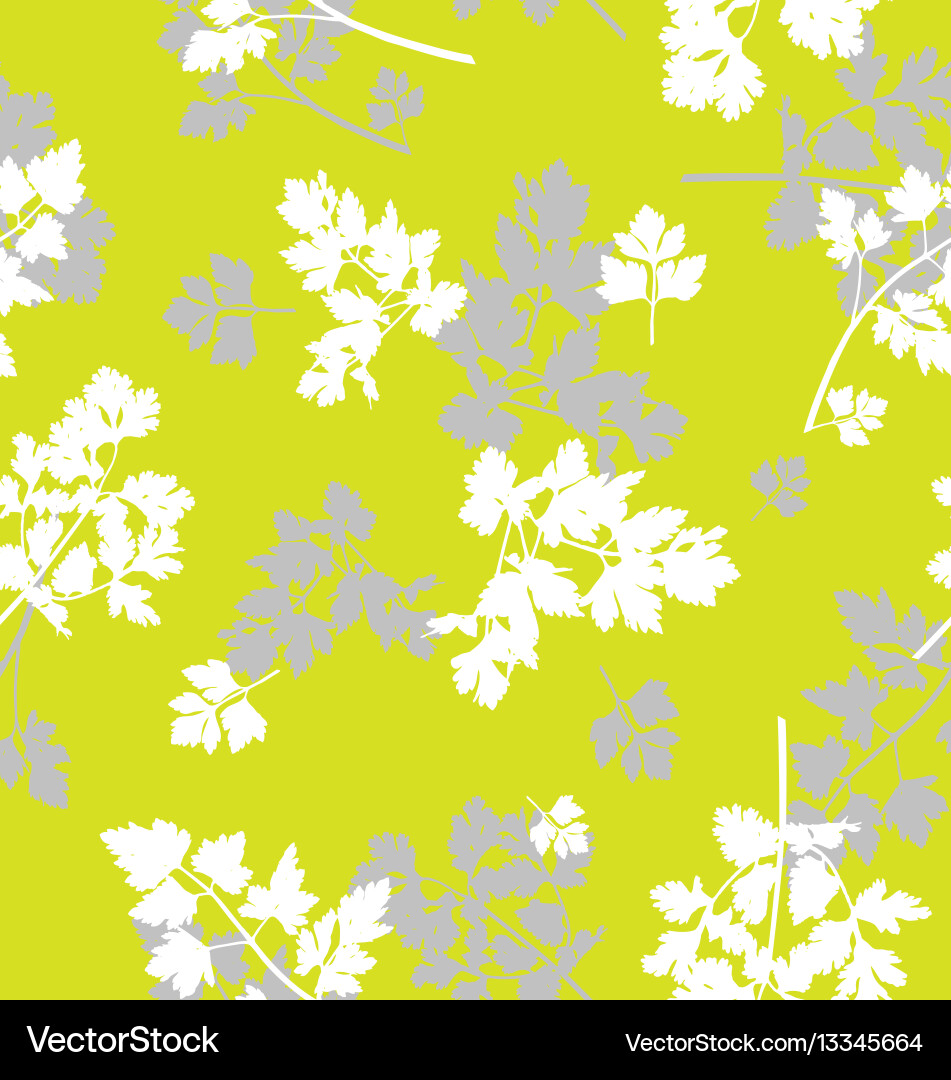 Seamless pattern design with parsley leaves Vector Image