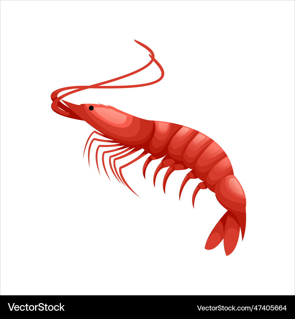 Shrimp design vintage Royalty Free Vector Image