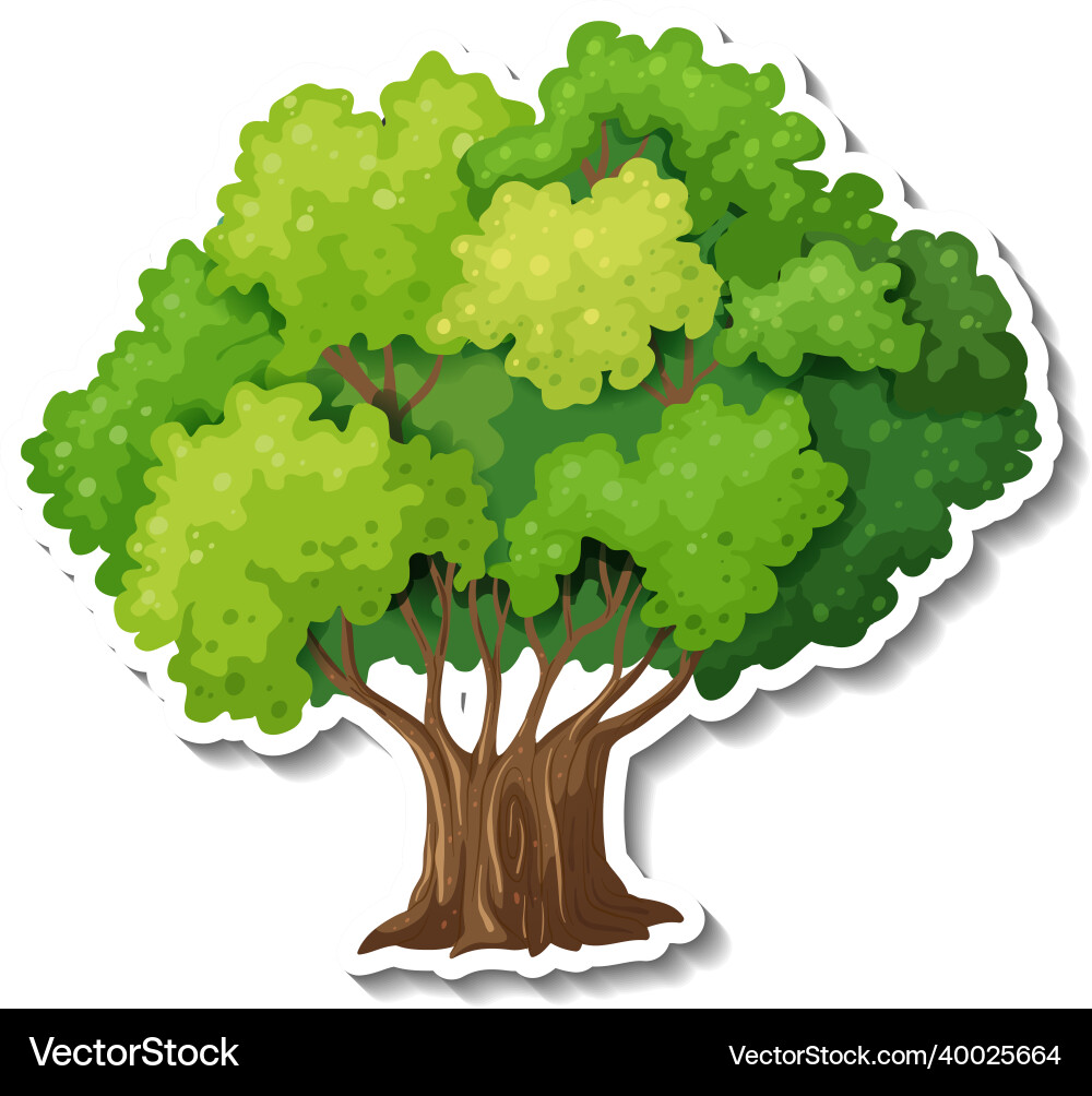 Tree sticker on white background Royalty Free Vector Image