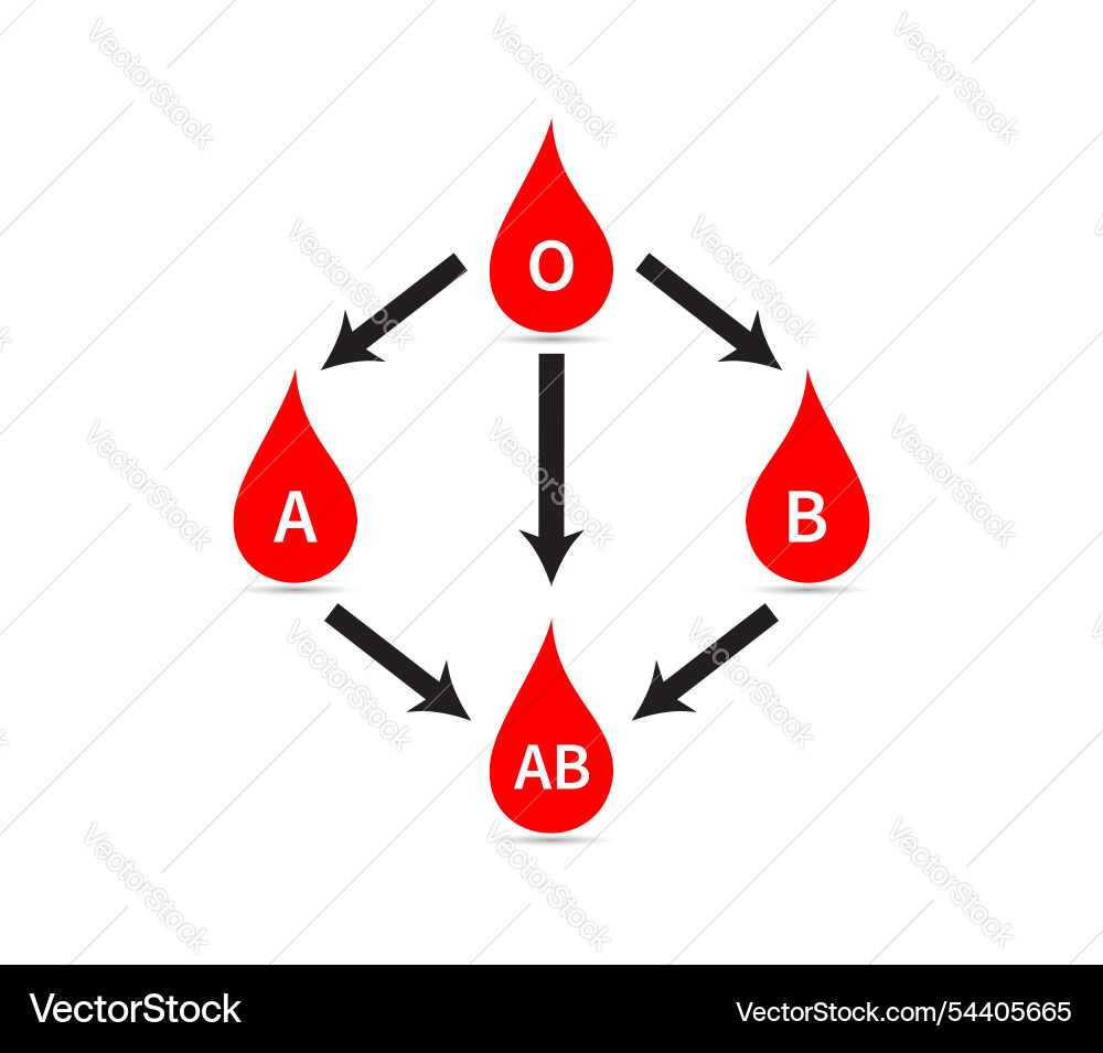 Blood donation chart for different groups Vector Image