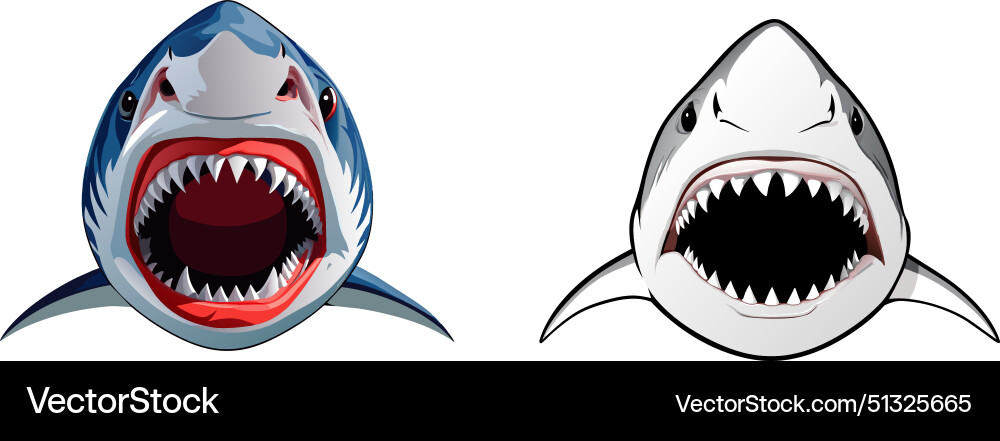 Shark Head Color Vector Images (over 320)