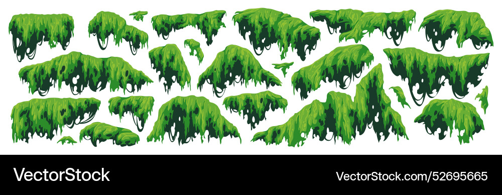 Green swamp moss hanging and creeping jungle Vector Image