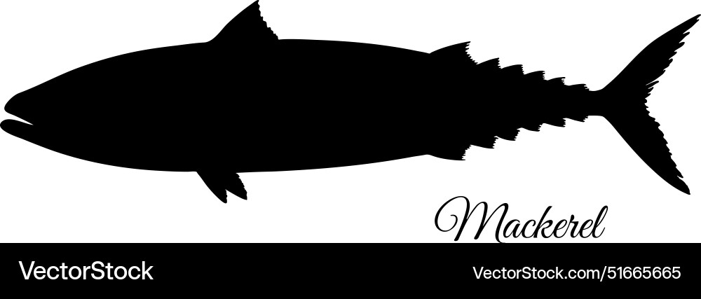 Mackerel fish silhouette Royalty Free Vector Image