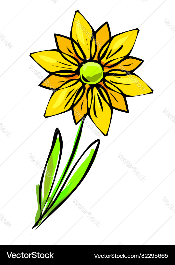 Yellow flower Royalty Free Vector Image - VectorStock