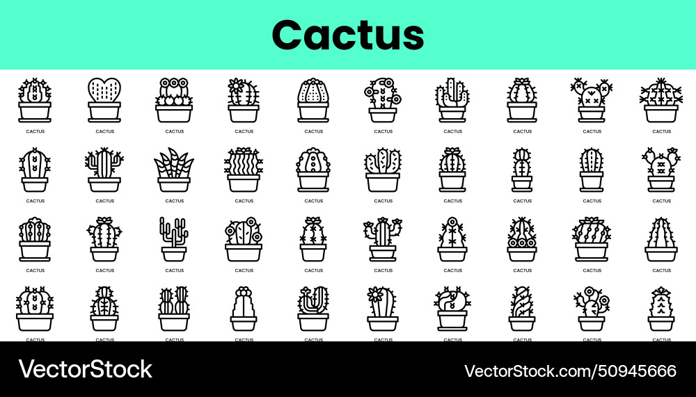 Set of cactus icons linear style icon bundle Vector Image