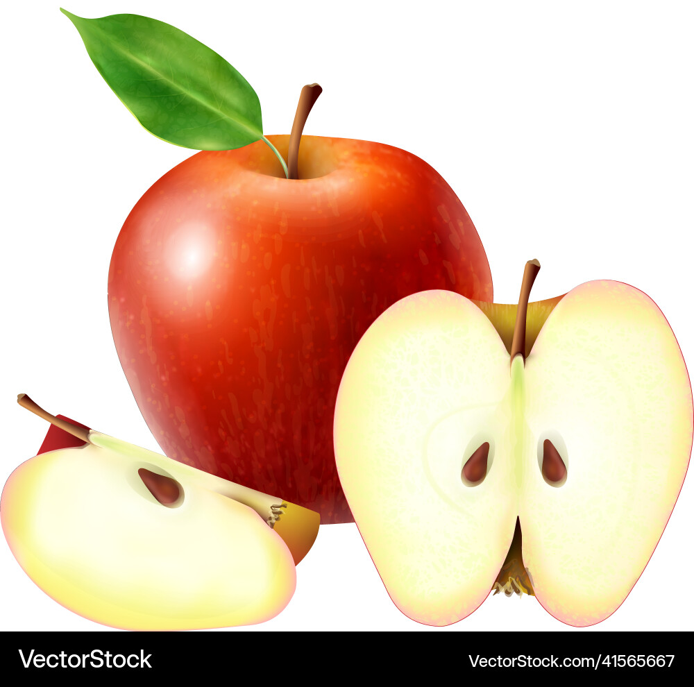 Realistic red apple composition Royalty Free Vector Image