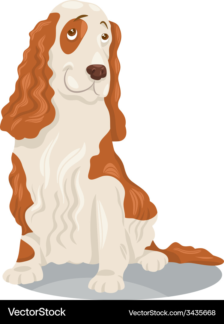 Cocker spaniel dog cartoon Royalty Free Vector Image