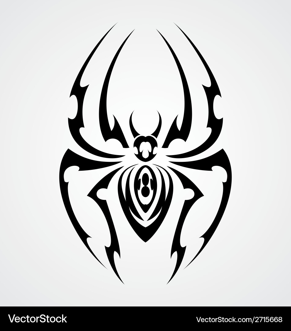 Intricate Spider Tattoo Royalty Free Vector Image