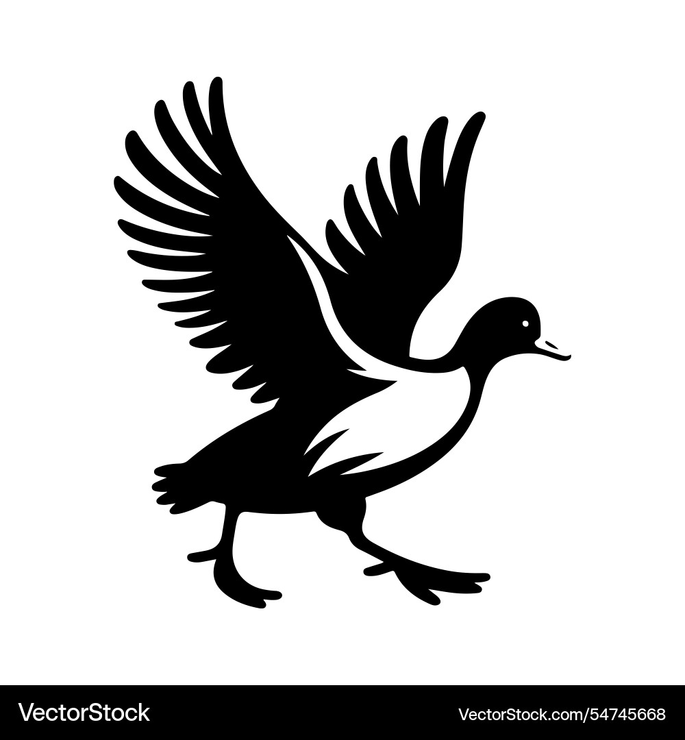White-winged coot silhouette for stunning designs Vector Image