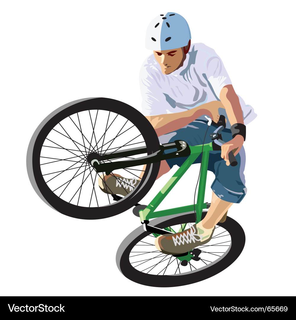 Bmx Royalty Free Vector Image - VectorStock
