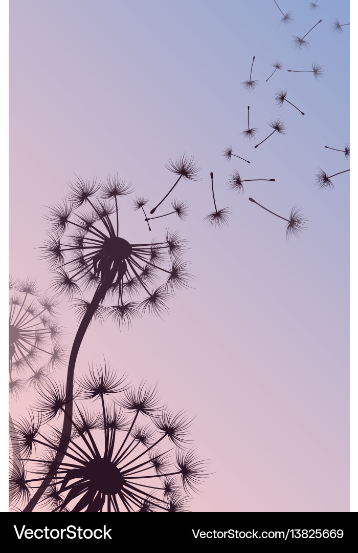 Dandelion Spore Vector Images (19)