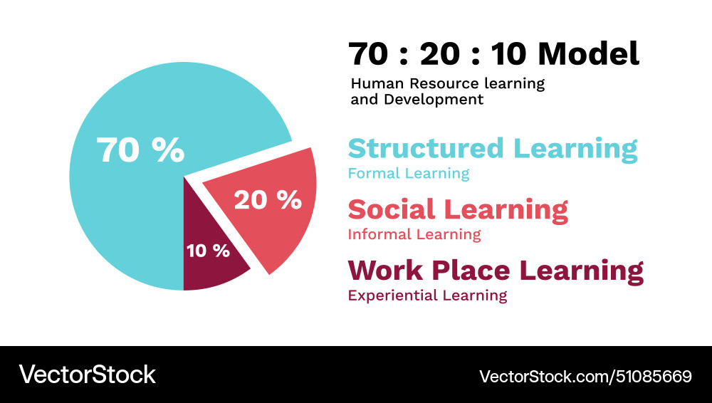 Human resource training and development pie chart Vector Image