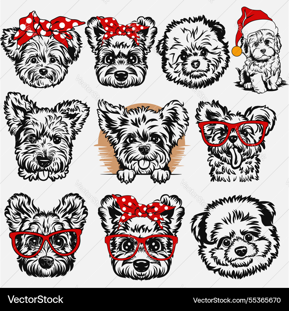 Pomapoo svg files for cricut download pomeranian Vector Image