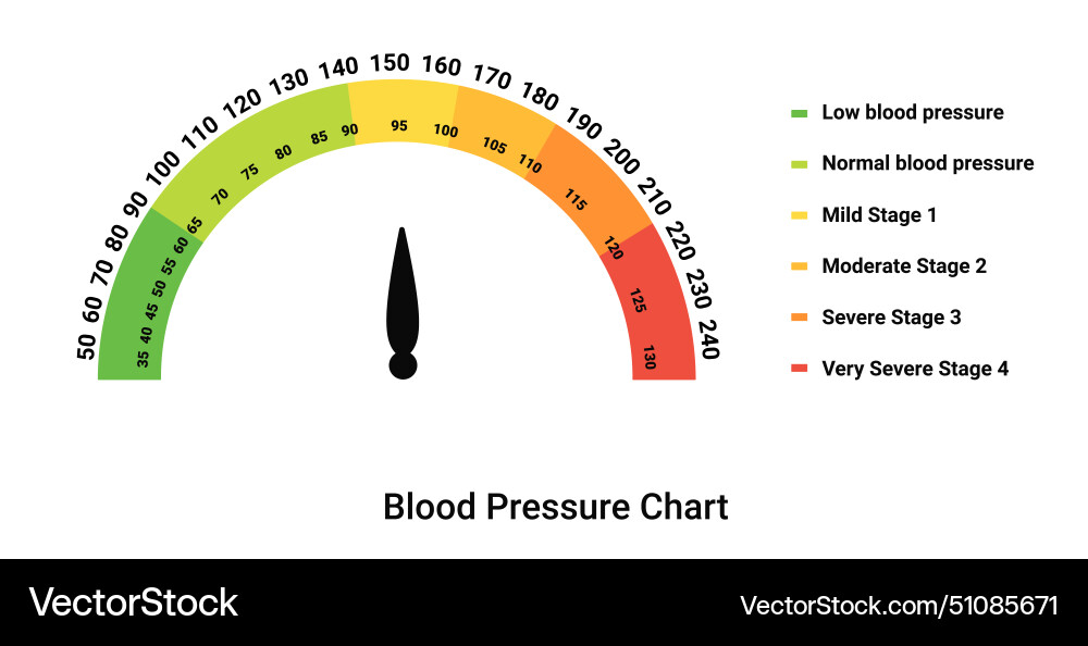Blood pressure chart color scale with arrow and Vector Image