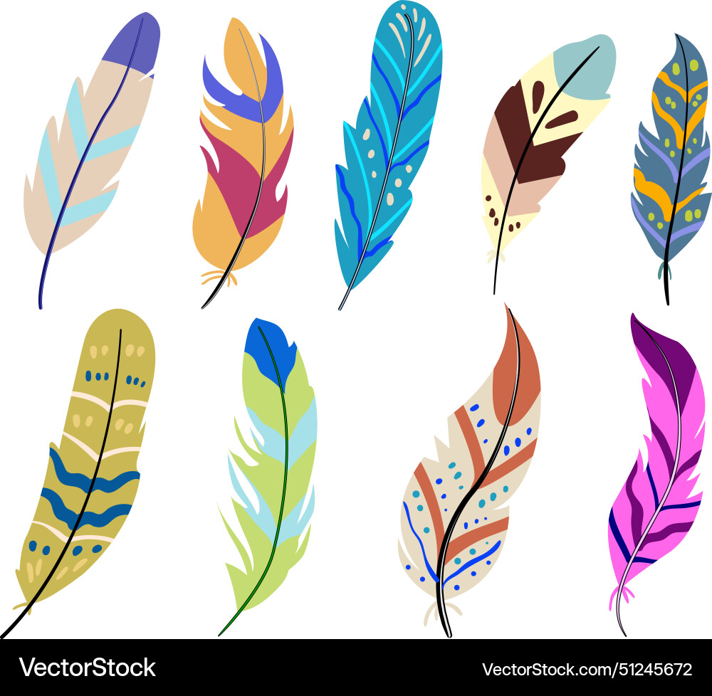 Feather exotic bird set cartoon Royalty Free Vector Image