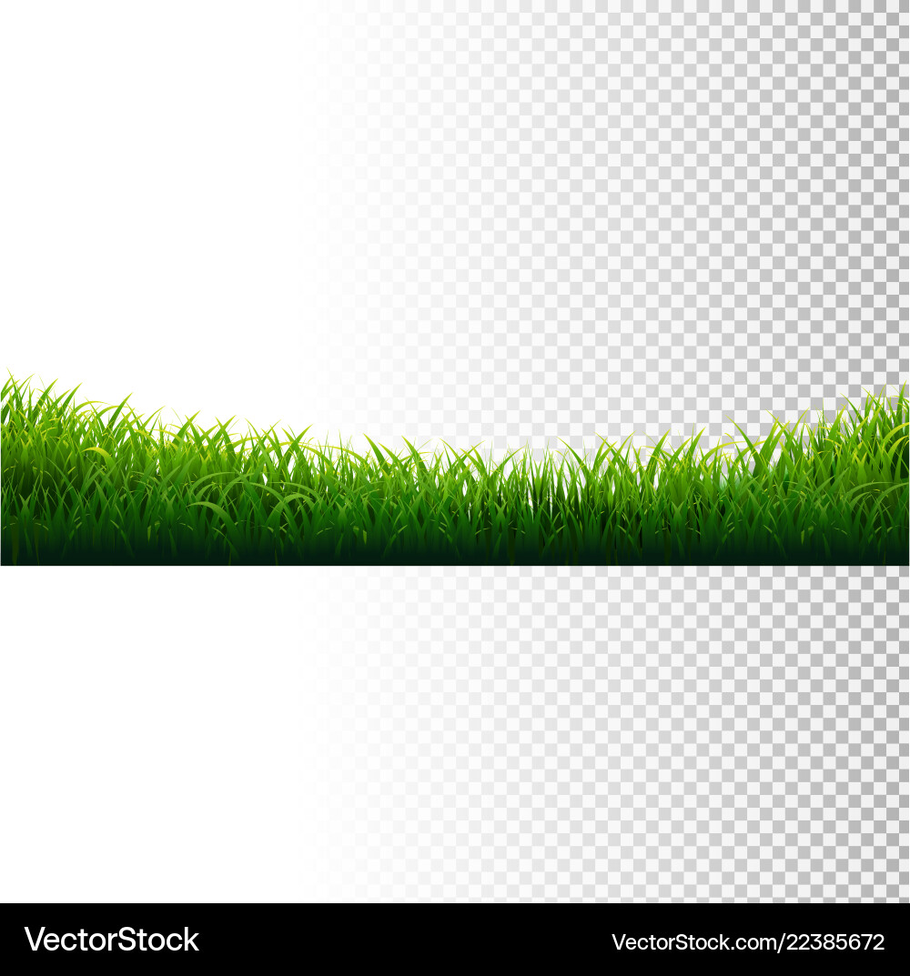 Green grass frame isolated transparent background Vector Image