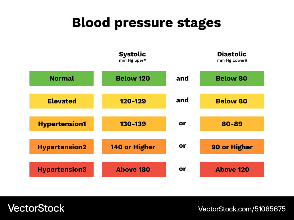 Blood pressure stages hypertension scale Vector Image