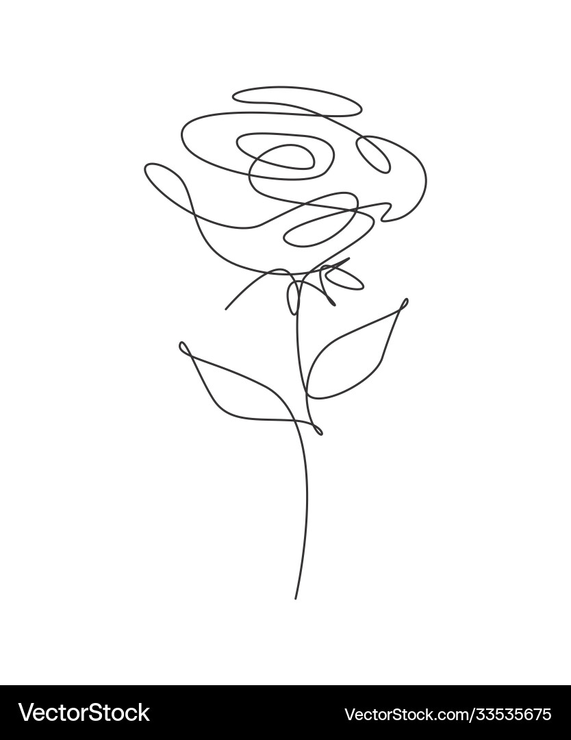 One single line drawing beauty fresh rose flower Vector Image