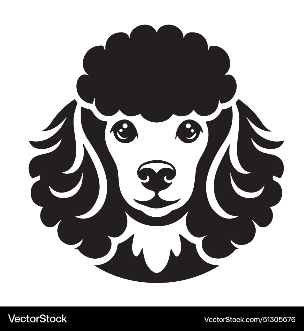 Classic poodle Royalty Free Vector Image - VectorStock