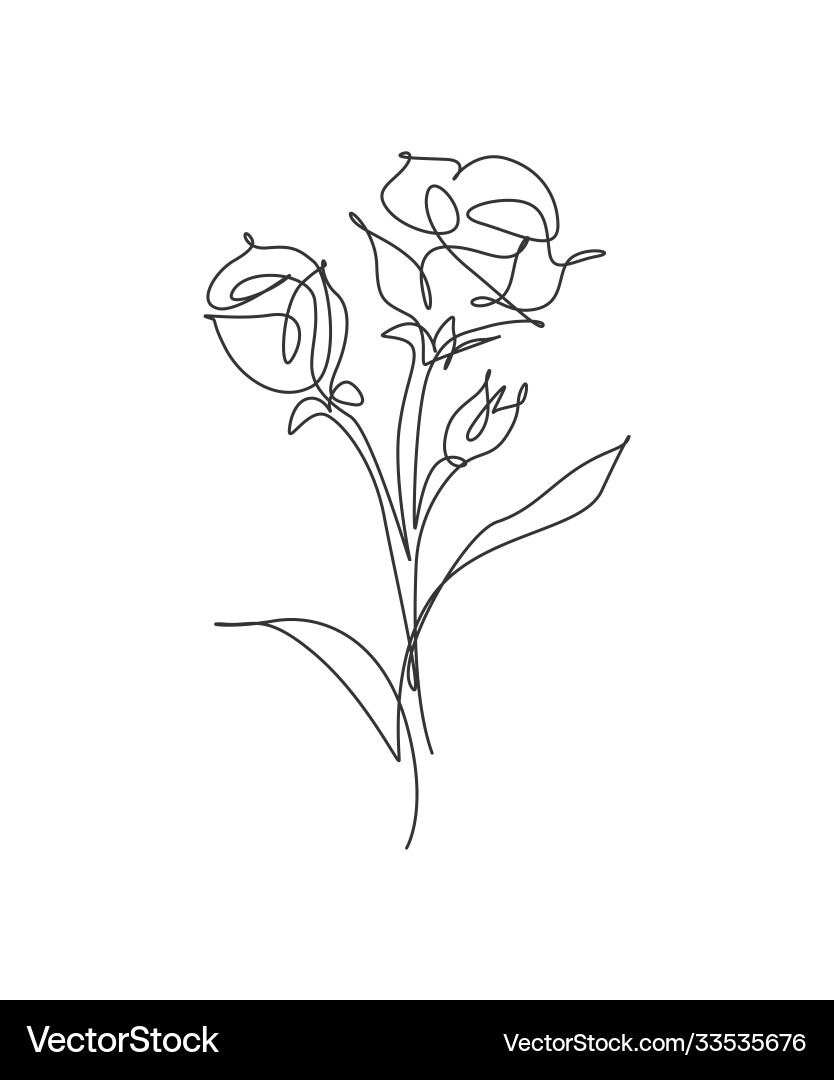 Minimalist Rose Line Drawing Royalty Free Vector Image