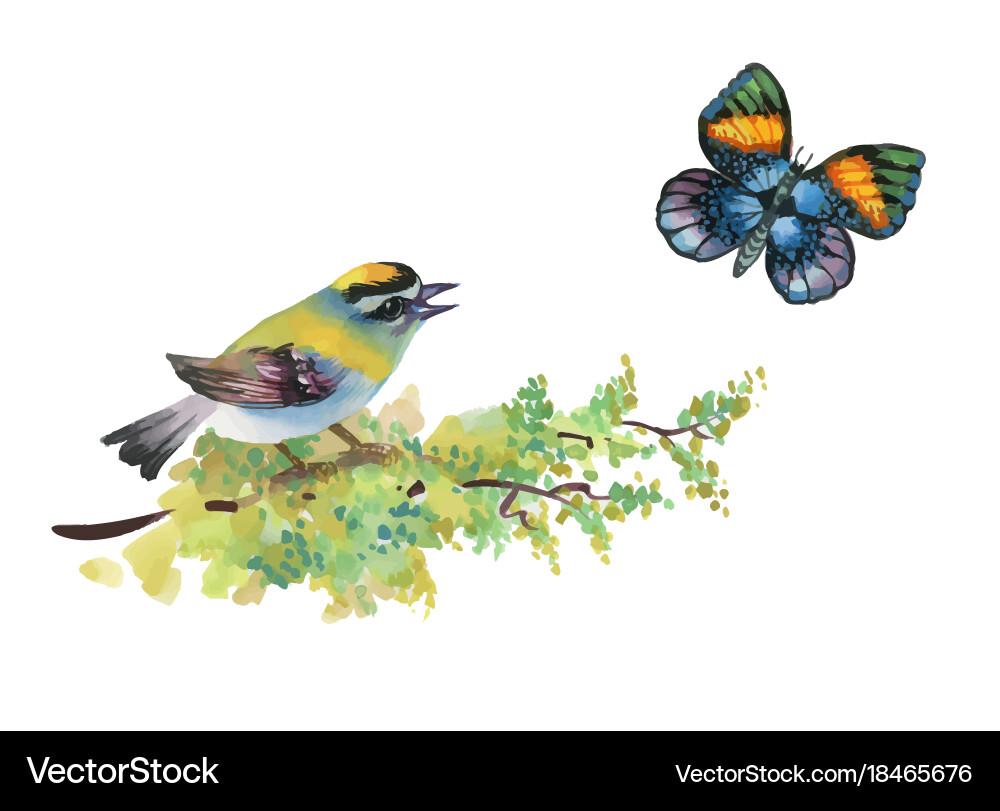 Watercolor drawing bird sits on a branch Vector Image