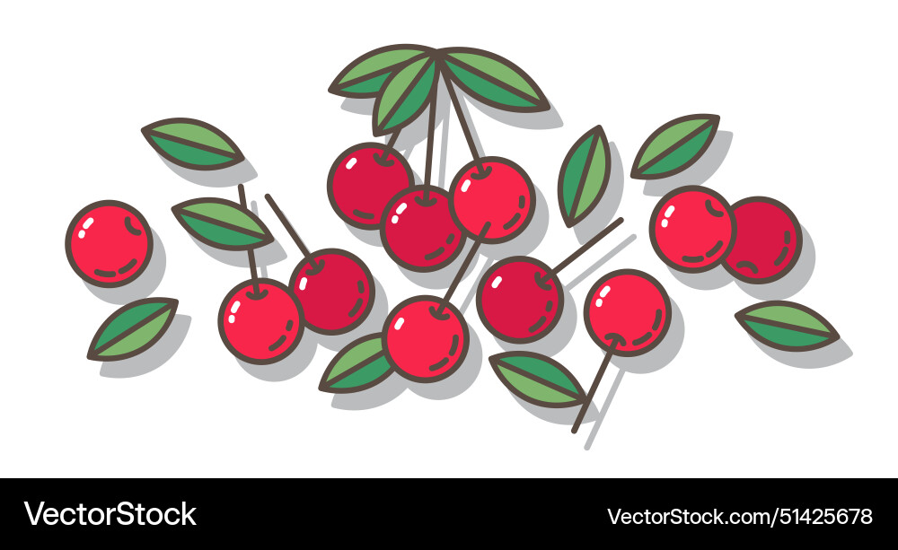 Cherry fruits flat berries leaves Royalty Free Vector Image