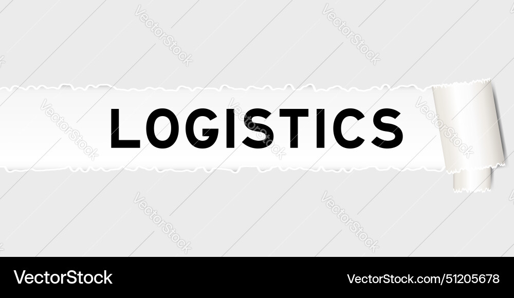 Ripped gray paper background that have word Vector Image
