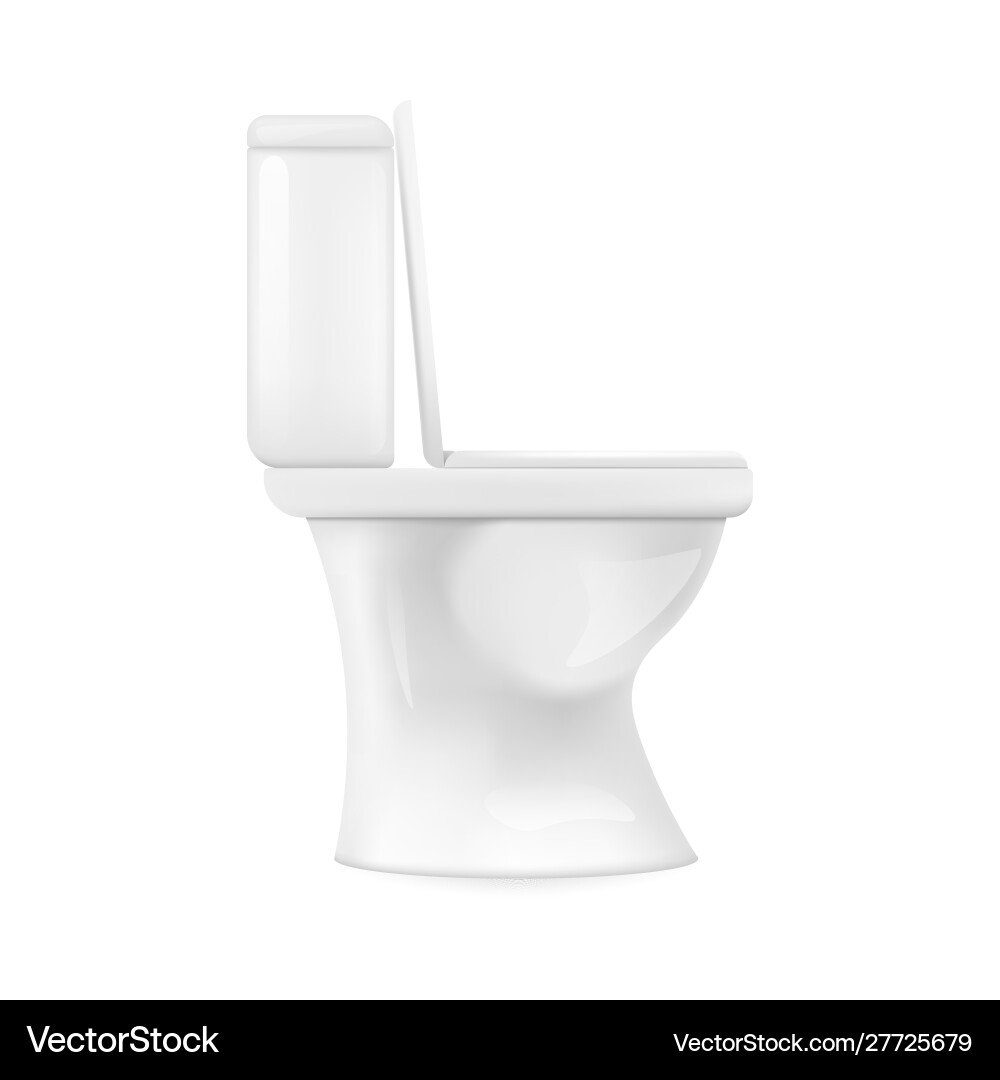 Realistic white ceramic toilet from side view Vector Image