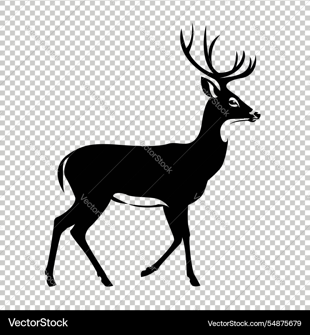 Whitetail deer Royalty Free Vector Image - VectorStock