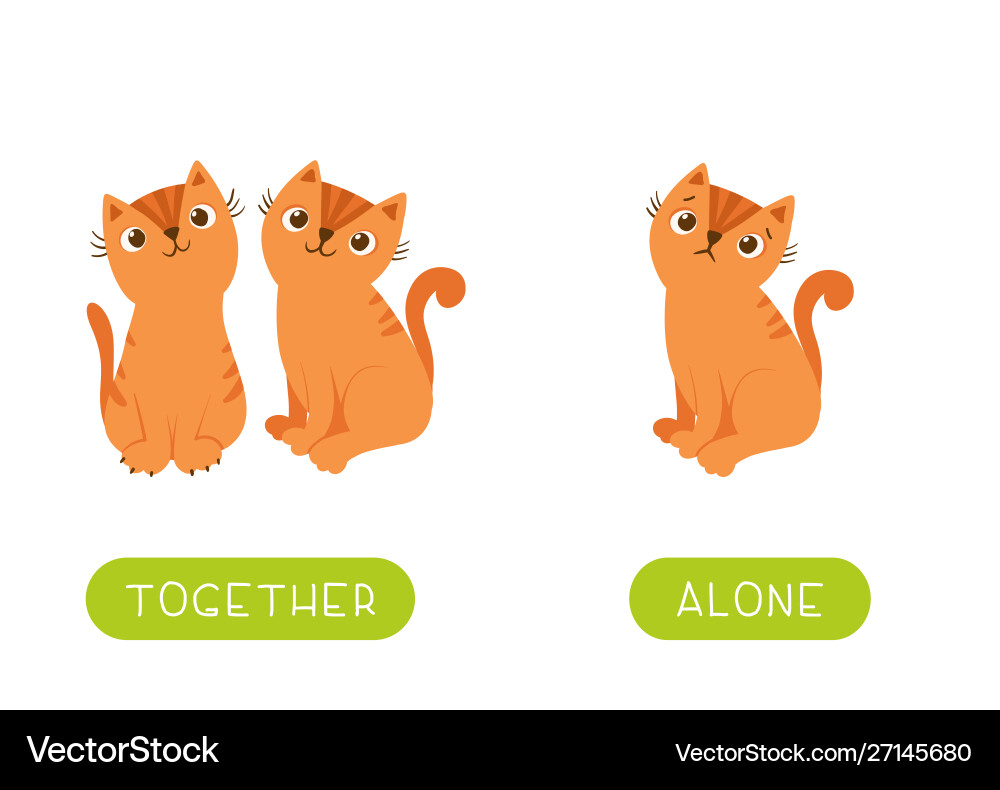 Flashcard with antonyms for children template Vector Image