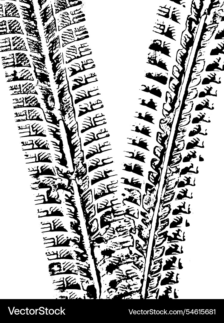 Dirt track from the car wheel protector Royalty Free Vector