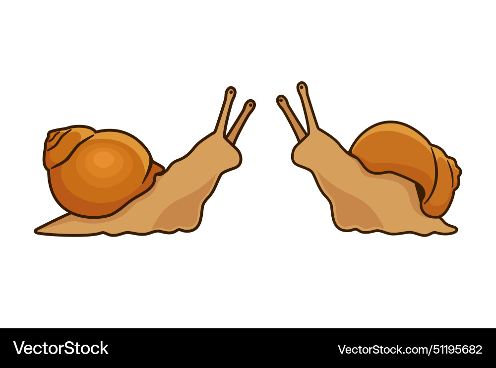 Cute brown snail icon set on a white background Vector Image