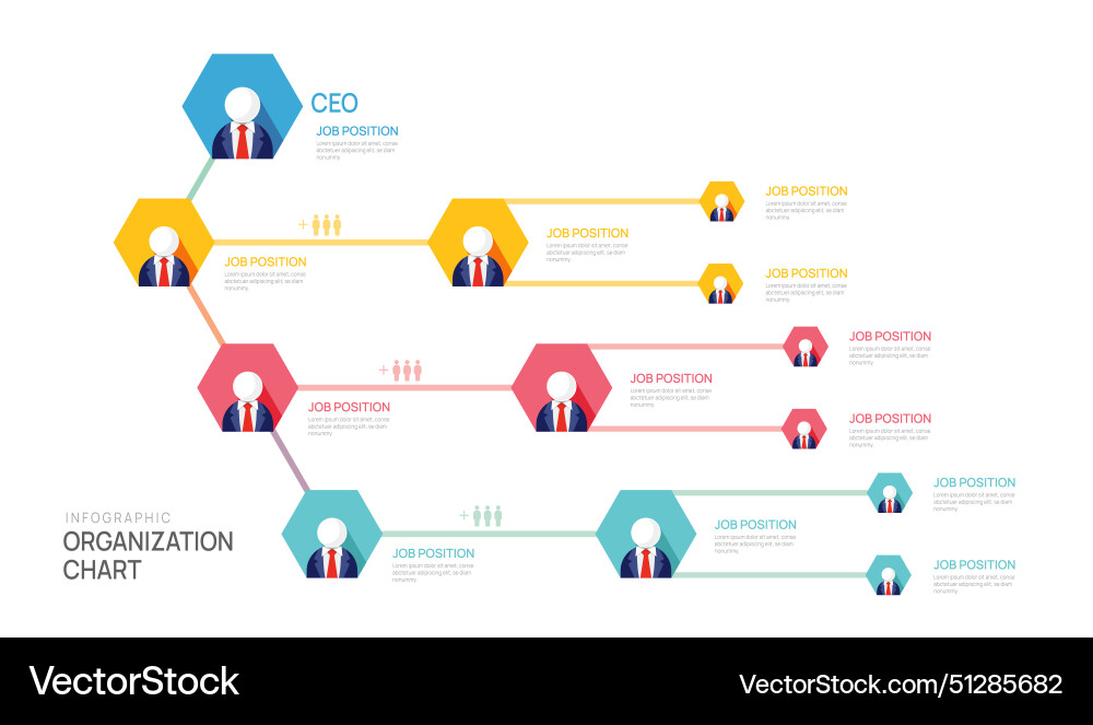 Infographic template for organization chart Vector Image