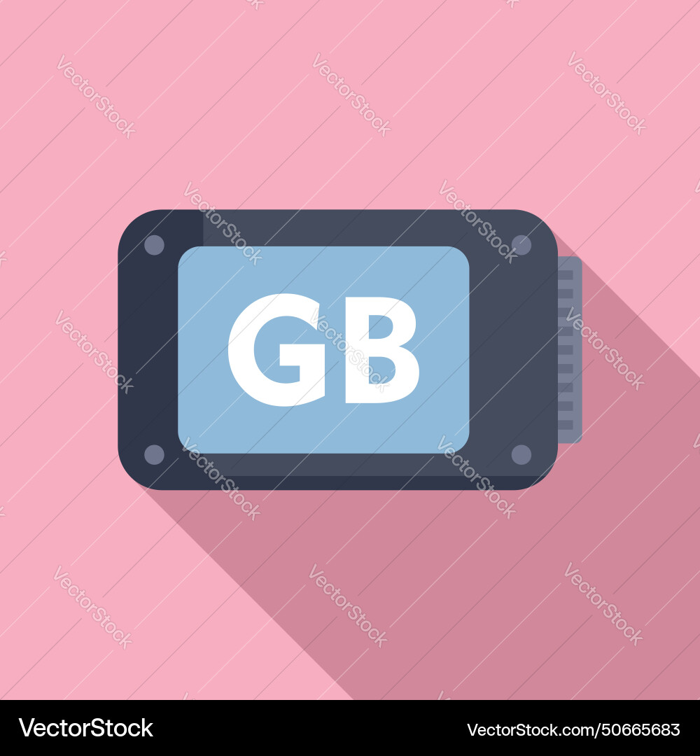 Gb storage focus icon flat state backup Royalty Free Vector