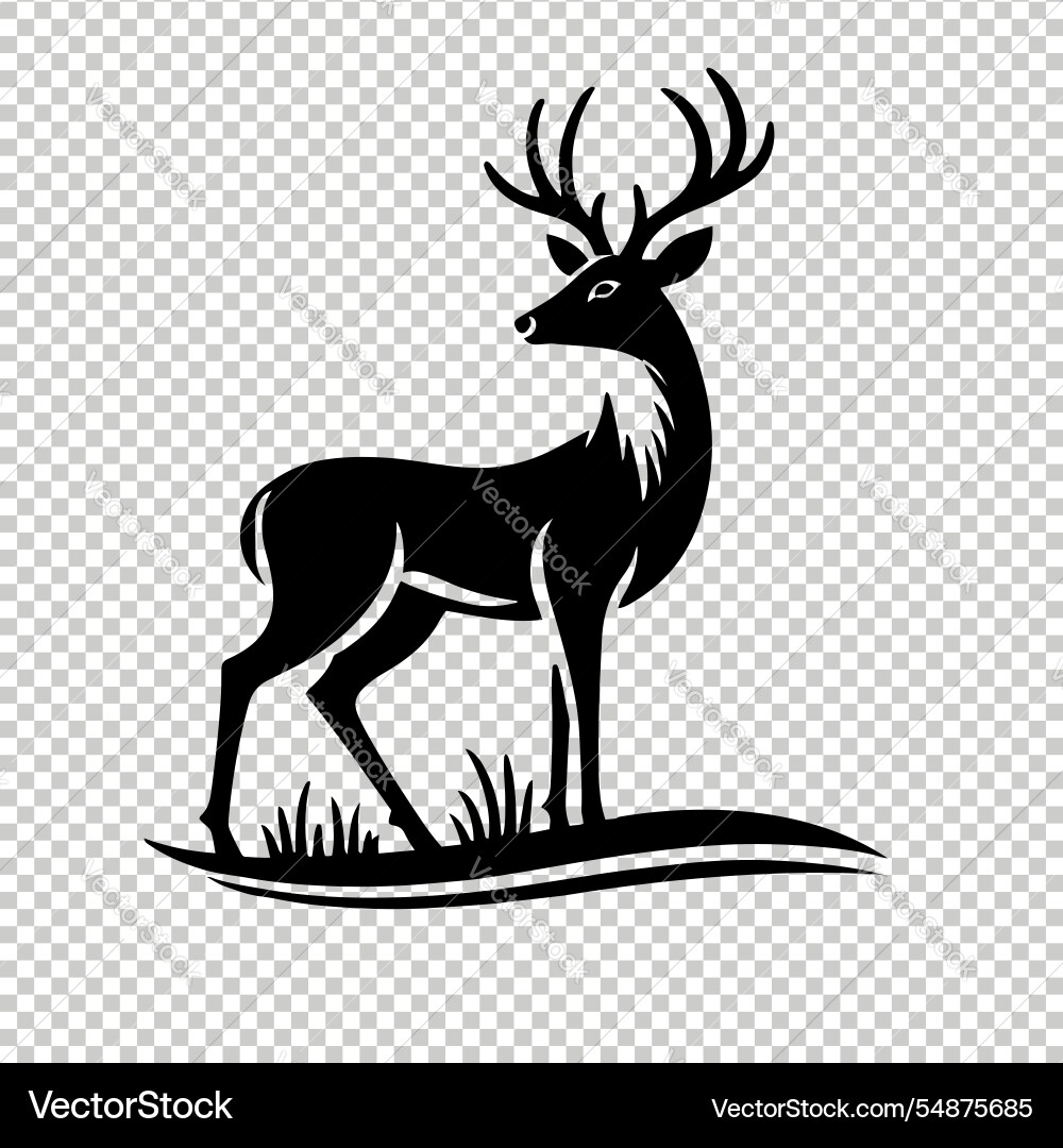 Whitetail deer Royalty Free Vector Image - VectorStock