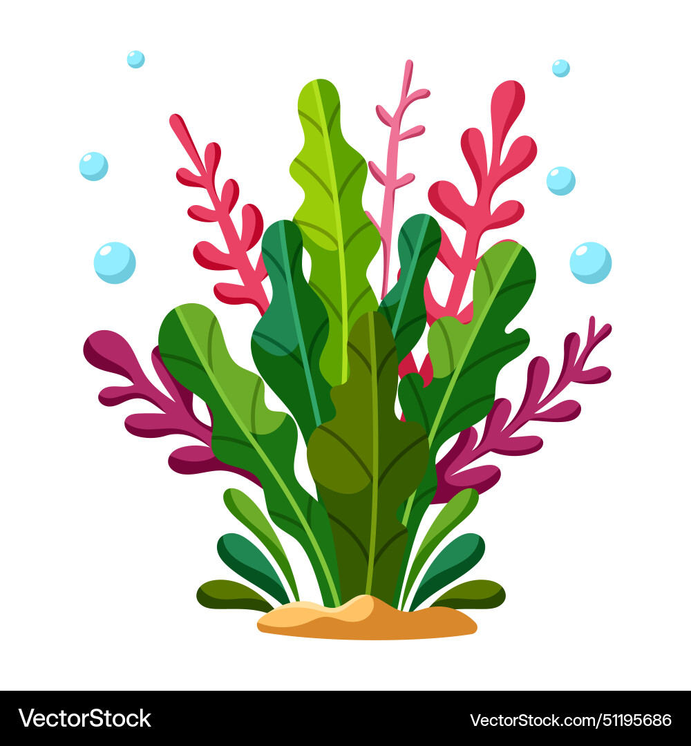 Colorful sea plants Royalty Free Vector Image - VectorStock