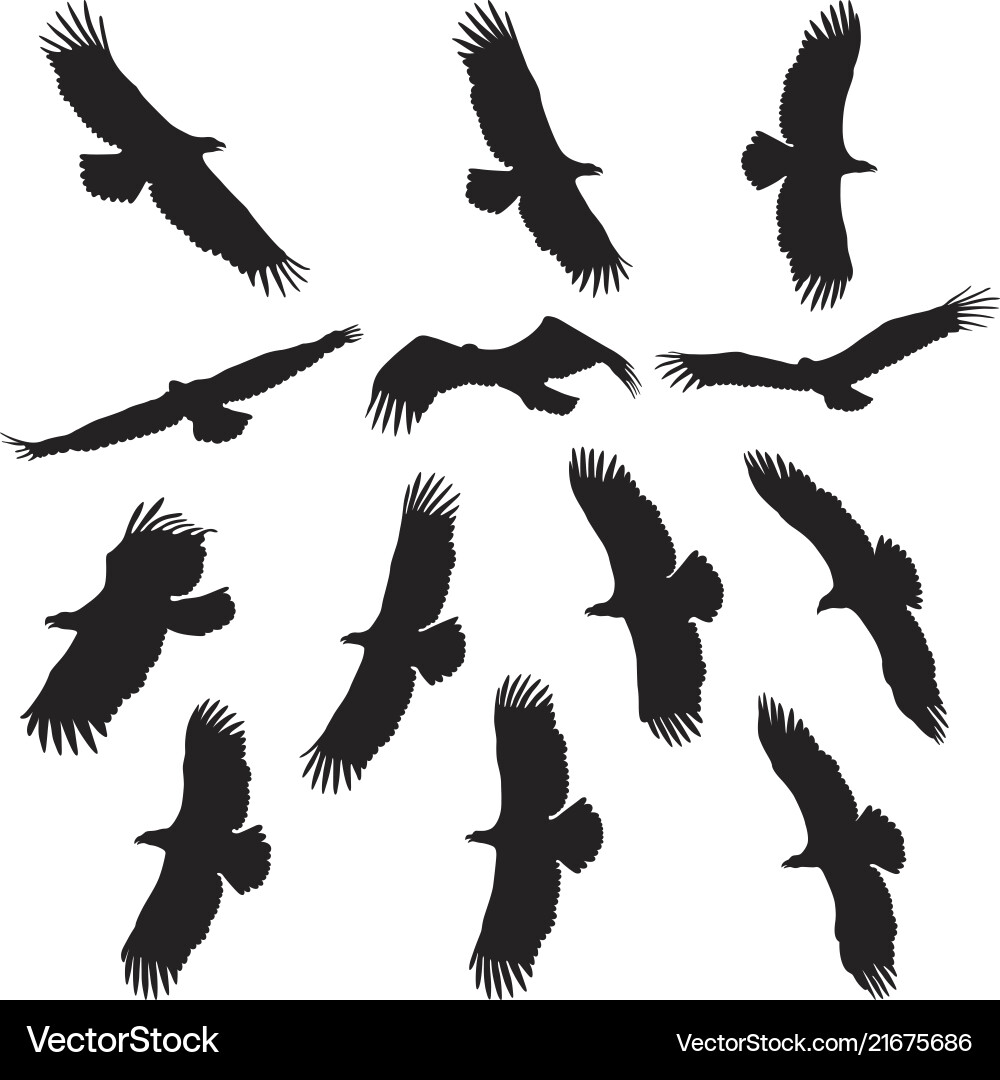 Eagle Royalty Free Vector Image - VectorStock