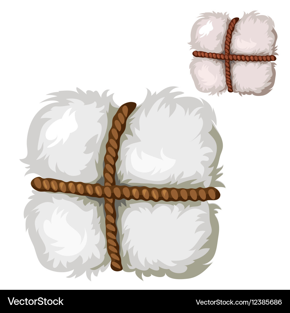 Fur animal skin on white background Royalty Free Vector