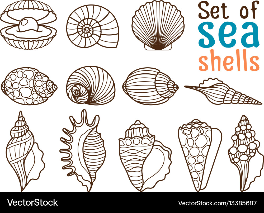 Marine Seashell Icon Set Royalty Free Vector Image