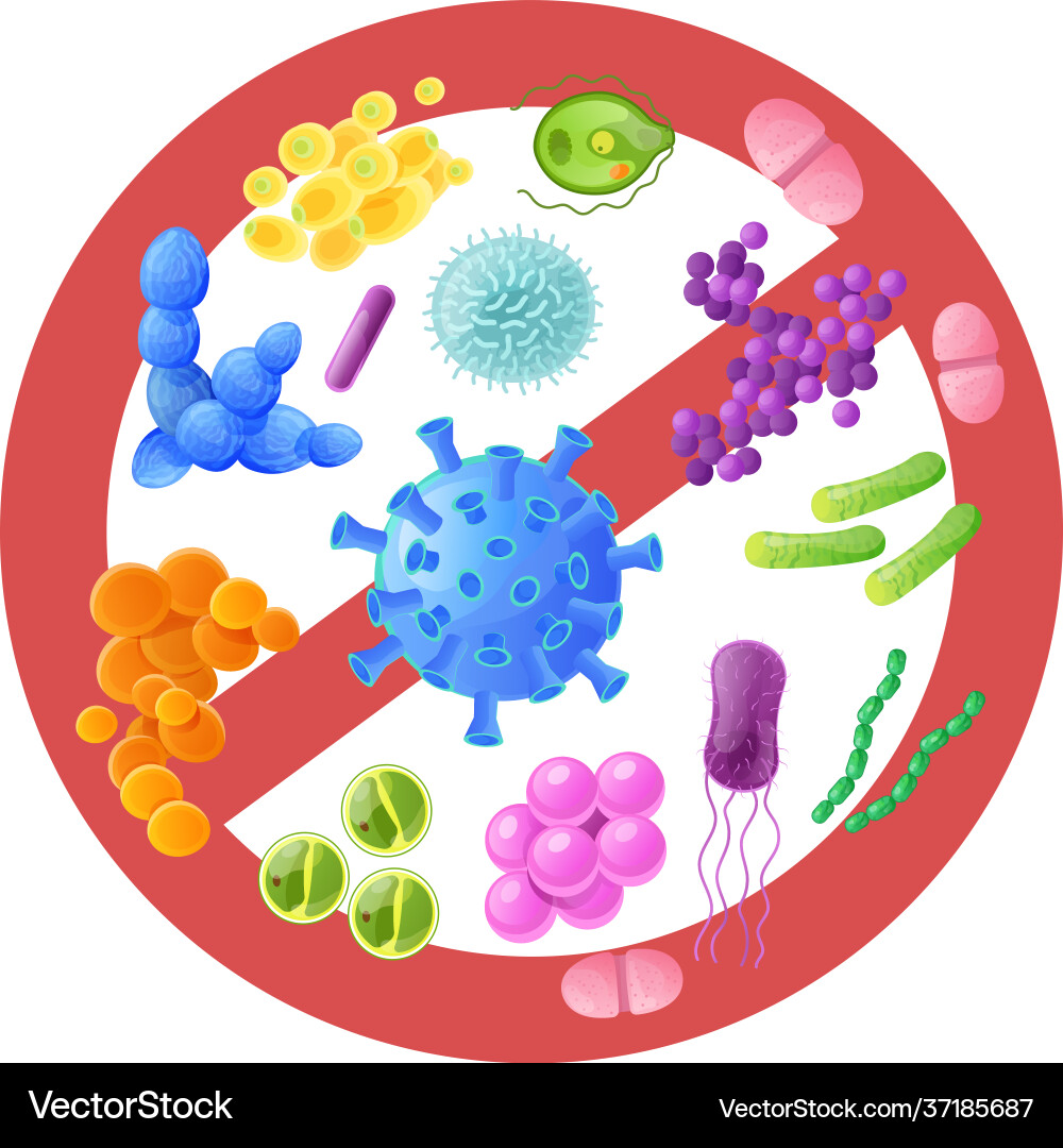 Microorganism bacteria virus cell bacillus Vector Image