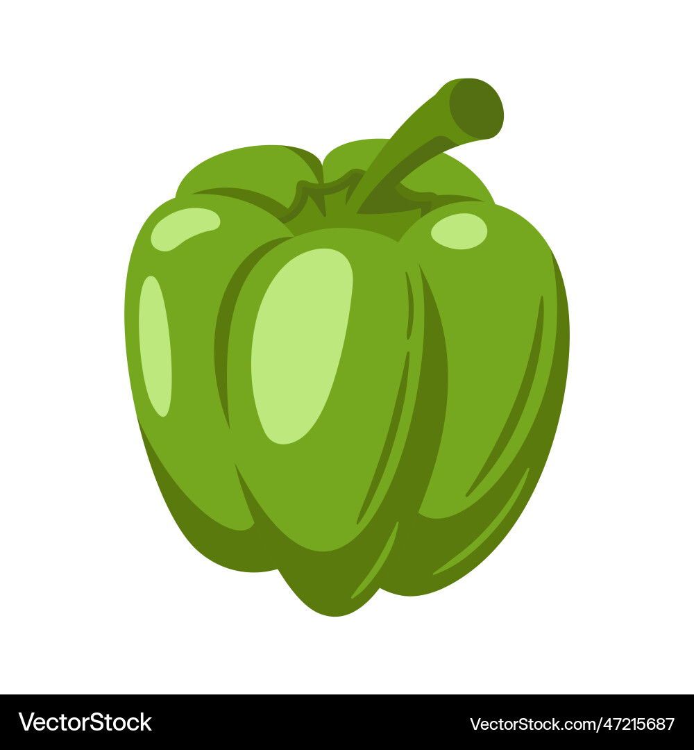 Sweet green bell pepper Royalty Free Vector Image