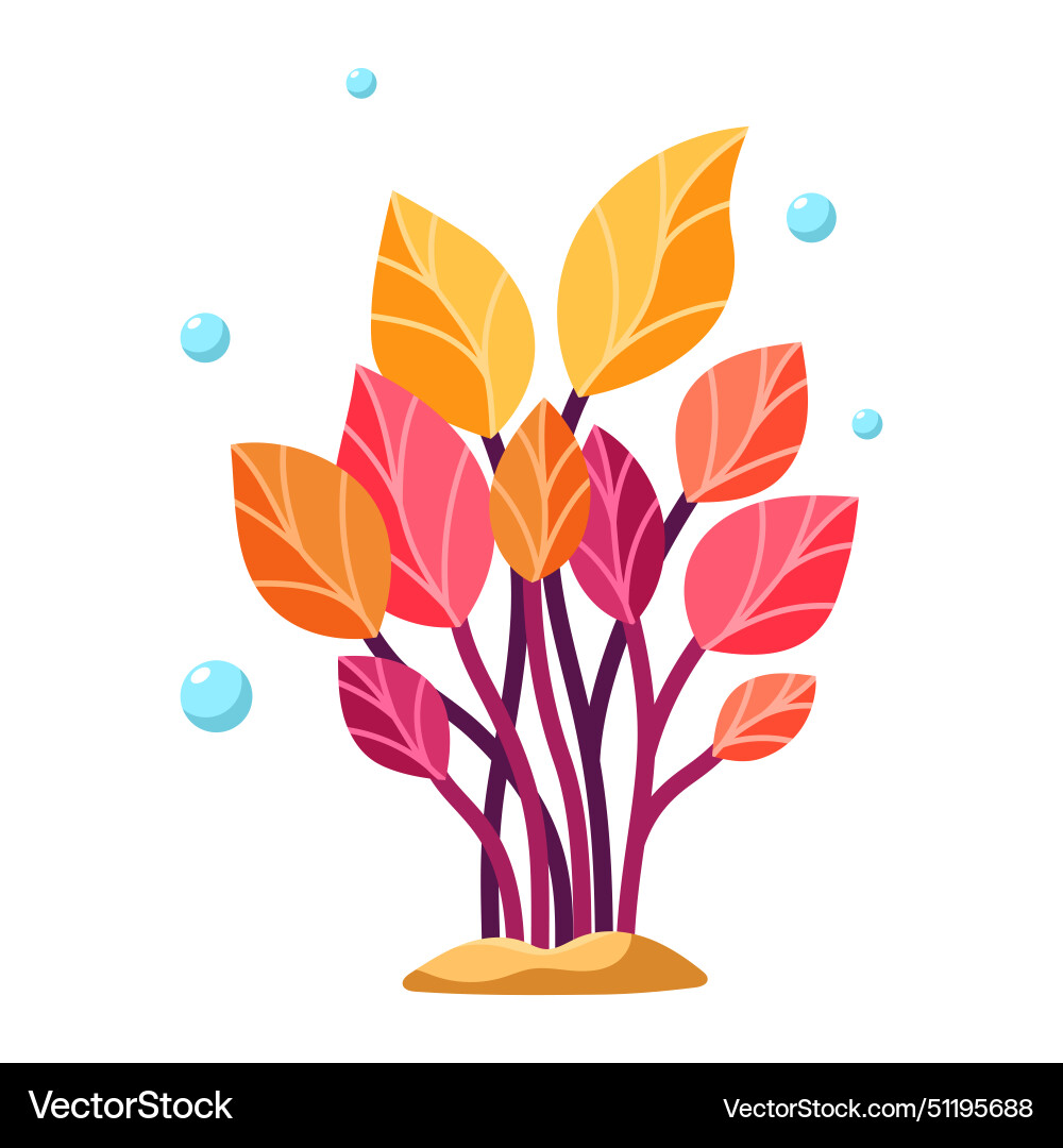 Colorful seaweed with leaves Royalty Free Vector Image